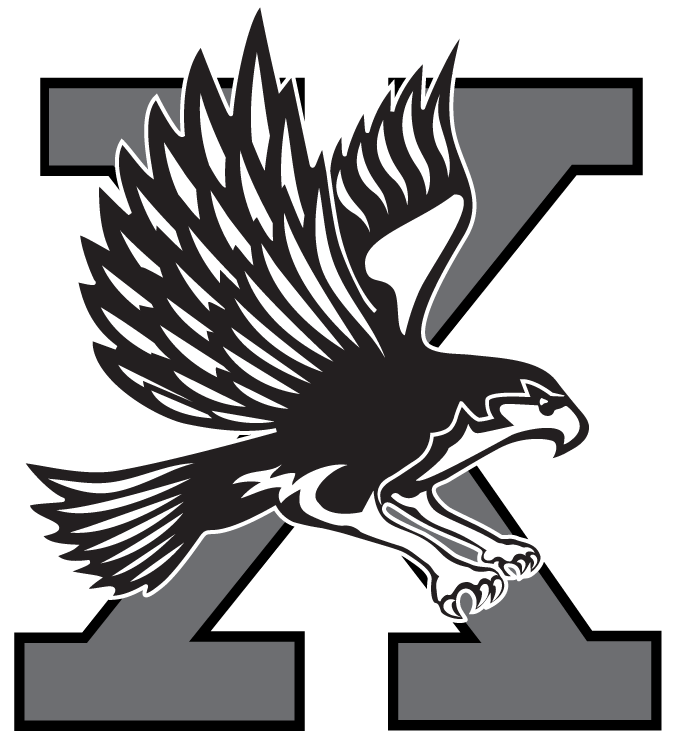 Xavier Fullmetal Falcons Xavier Fullmetal Falcons